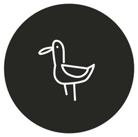 Falmouth board game – Martamaps